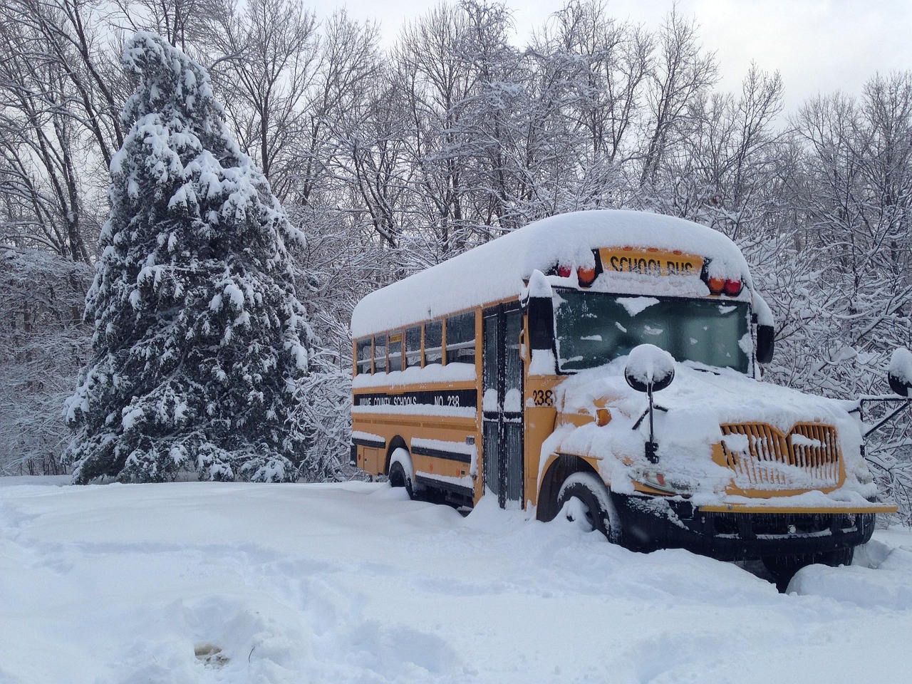 Winter Storm Fern Shuts Schools: New York and Maryland Districts Close ...